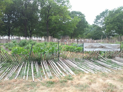 The Battery Urban Farm - AZexplained