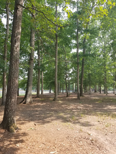 Iron Bridge Park in Richmond, Virginia - Zaubee