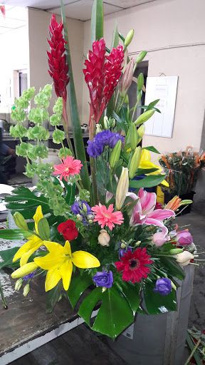 Flores Follajes y Plantas del Norte S.A. de C.V. - Saltillo - Florería ...