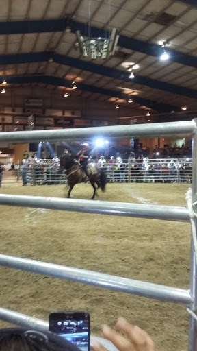 Stadium «Calsonic Arena», reviews and photos, 721 Whitthorne St ...