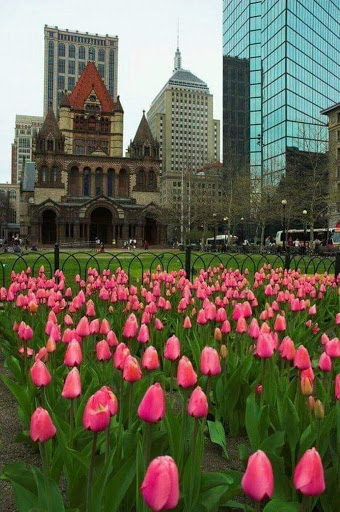 Science Museum «Museum of Science», reviews and photos, 1 Science Park ...