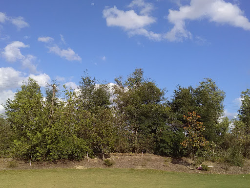 Public Golf Course «Terrace Hill Golf Club», reviews and photos, 7740 ...