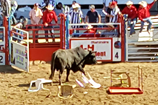 Angola Prison Rodeo & Arts in St Francisville, Louisiana - Zaubee
