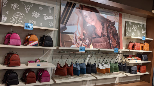 Fossil Outlet - AZexplained