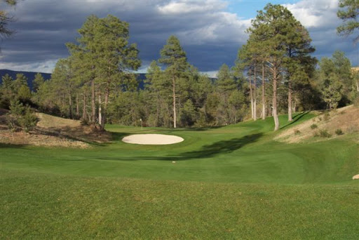 Integra Rim Country Real Estate - AZexplained