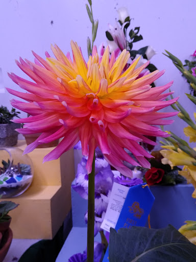 Spring Grove Hospital Center -Maryland Psychiatric Research - AZexplained