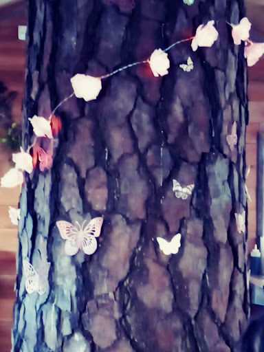 Treehouse Cafe | Quirky American Restaurant in Magnolia, Texas