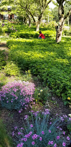 Park «Pardee Rose Gardens», reviews and photos, 180 Park Rd, Hamden, CT ...