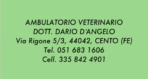 Dott. D'Angelo Dario Veterinary Surgery em Cento | 373 comentários ...