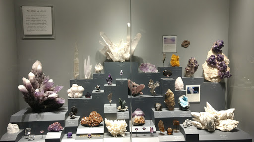 Gift Shop «Smithsonian Museum of Natural History Gift Shops», reviews ...