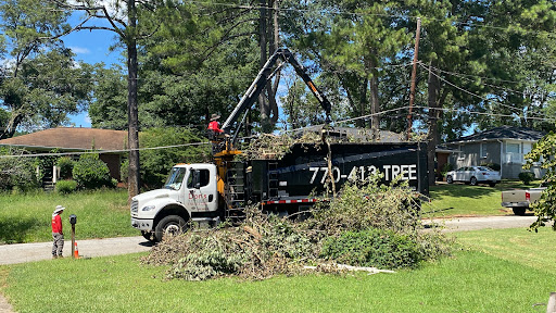 Tree Trimming & Removal Services Decatur, GA | Don's Tree Service
