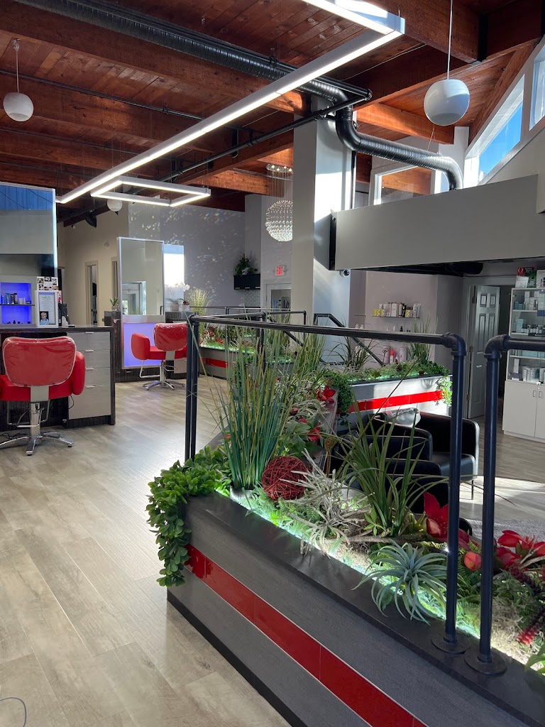 Alex Hair Studio - Glastonbury, CT 06033 - Services and Reviews