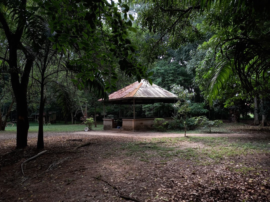 UI Botanical Garden in the city Ibadan