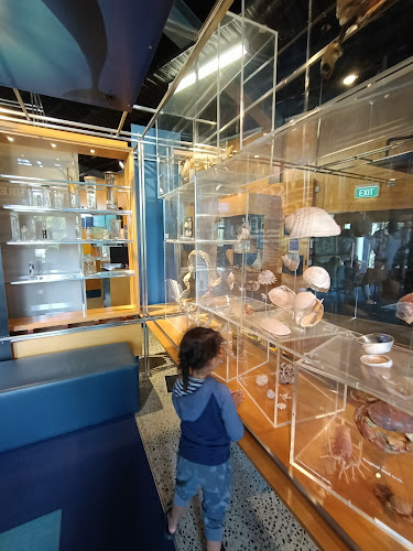 1 review of Leigh Marine Laboratory (University) in Auckland (Auckland)