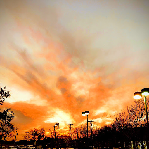 Auto Auction «Manheim Dallas», reviews and photos, 5333 W Kiest Blvd ...