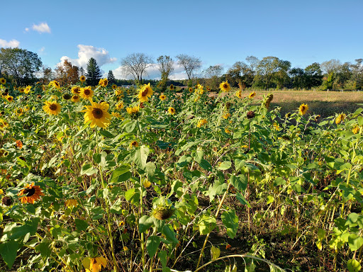 SpringDell Farms LLC - AZexplained