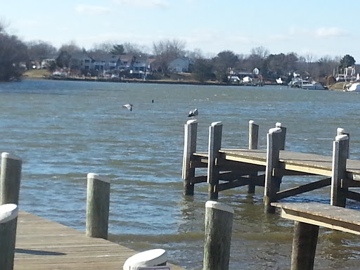 Park «Mariner Point Park», reviews and photos, 100 Kearney Dr, Joppa ...