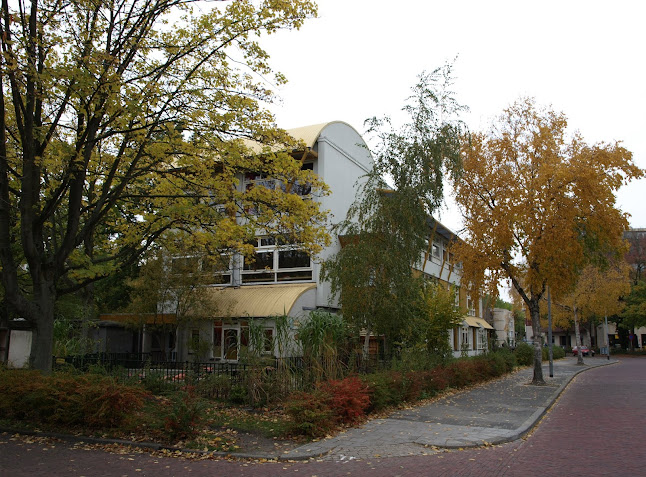 12 beoordelingen van Widar Vrijeschool (School) in Groningen (Groningen)