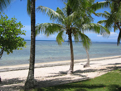 Cuvu Beach 🏖️ Viti Levu island, Fiji - detailed features, map, photos