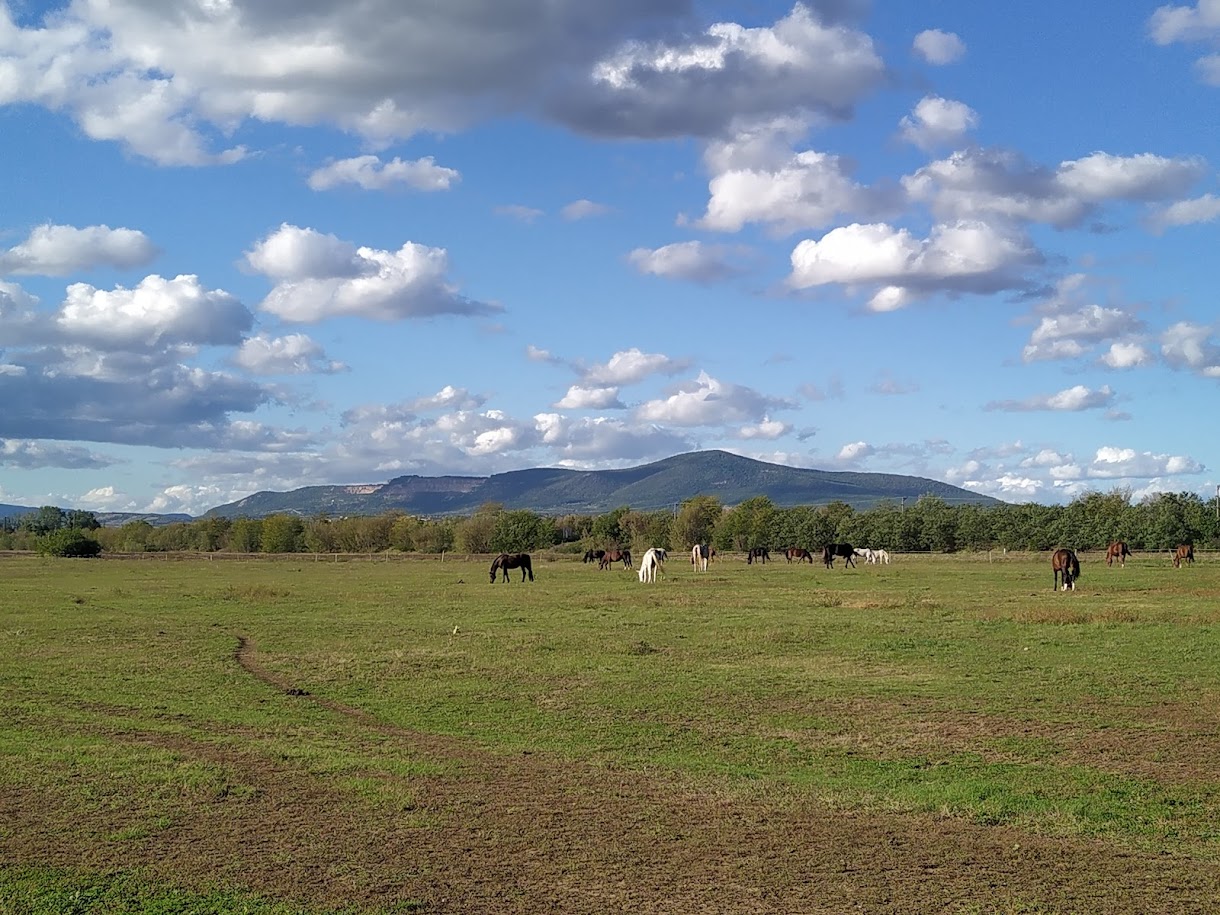 Szabó Lovasudvar Máriaudvar, +36 20 614 8188, Vác — TextMap