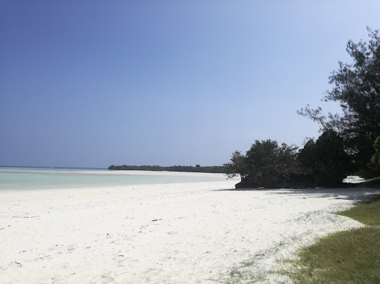 All beaches of Pemba island on the map with photos and reviews🏖️ ...