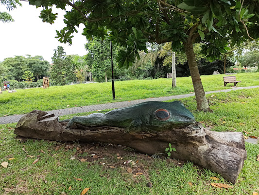 Pasir Ris Park Mangrove Boardwalk - Info Opening Hours, Address and ...