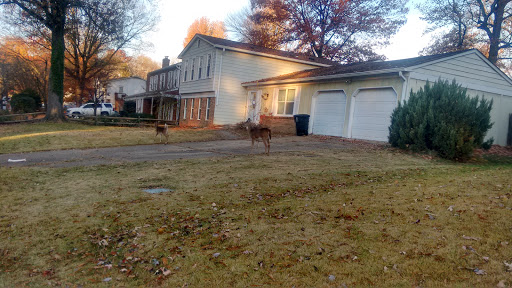 Park «Fort Foote Park», reviews and photos, Fort Foote Rd, Fort ...