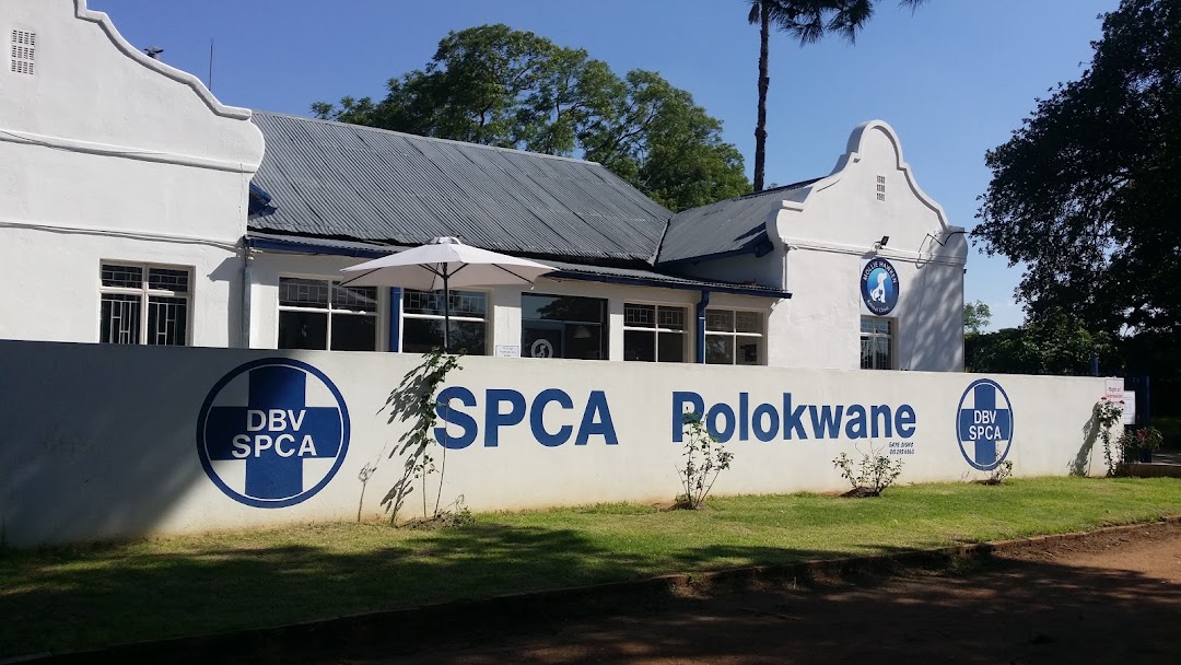 SPCA in the city Polokwane