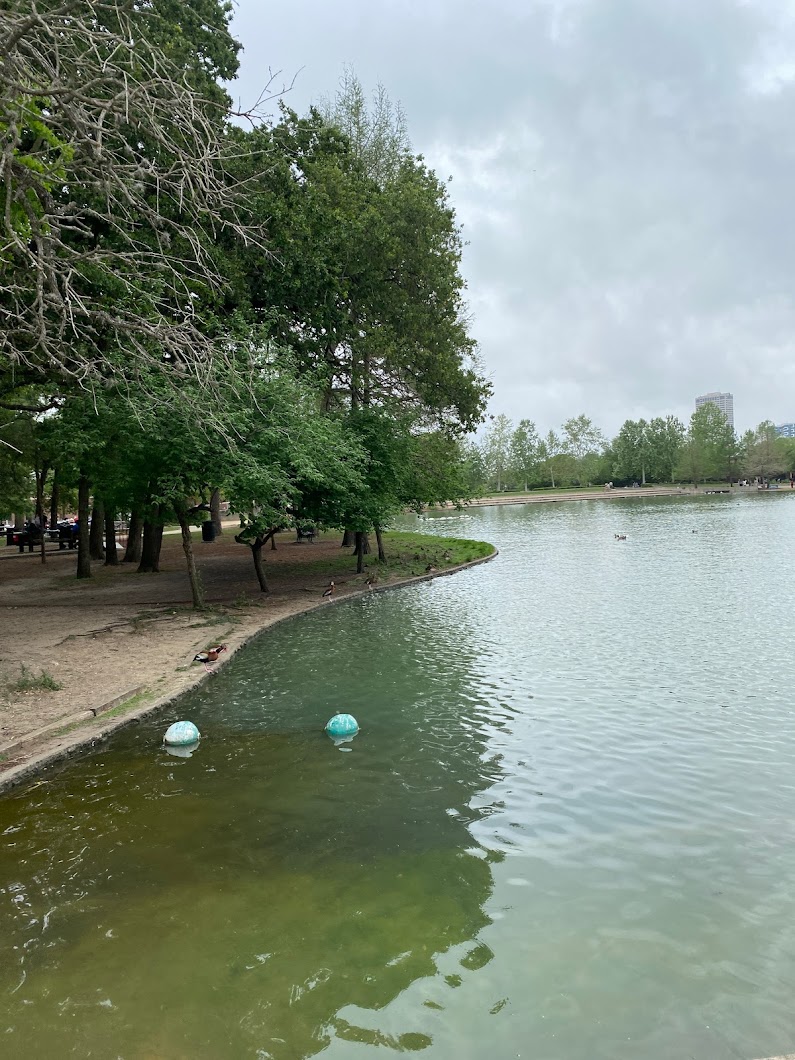 The Absolute Best Parks to Fish in Houston [Updated 2025]