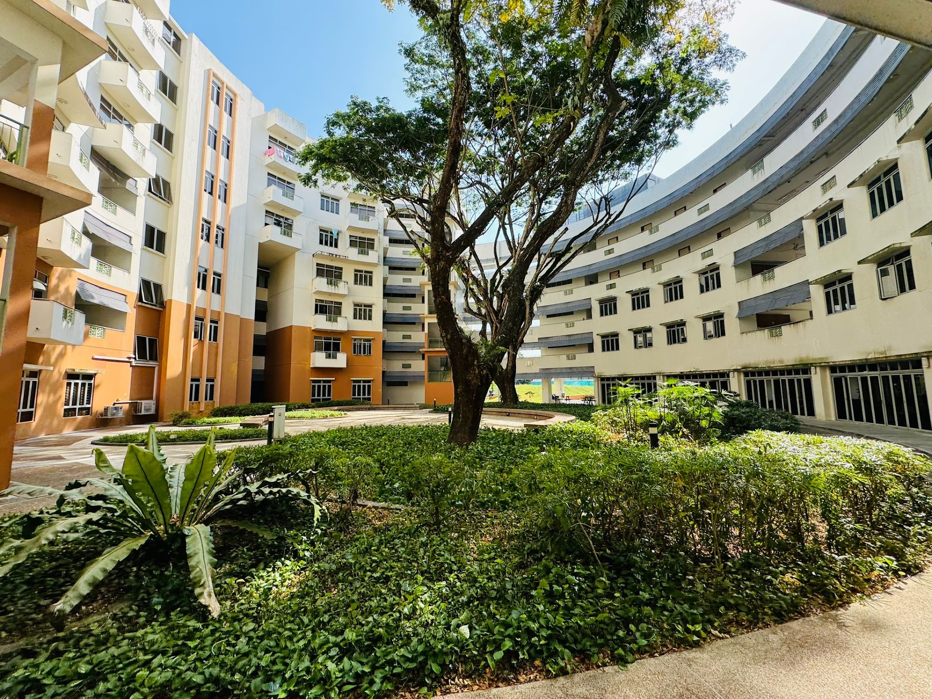 National Junior College Boarding School - reviews,open hours,photo ...