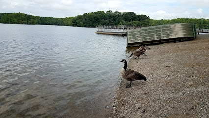 Hospital Point Boat Ramp - Quantico Station, Quantico, Virginia - Zaubee