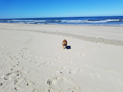 Ocean Way Beach 🏖️ Firence, Oregon, Združene države Amerike - podrobne ...