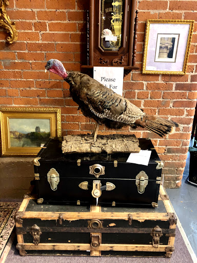 Consignment Shop «Consignment Gallery at 56», reviews and photos, 56 ...