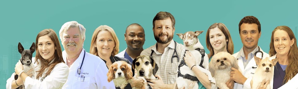 Reviews Southern Veterinary Partners (Veterinarian) in Alabama ...