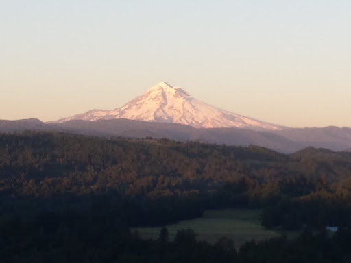 Park «Rood Bridge Park», reviews and photos, 4000 SE Rood Bridge Rd ...