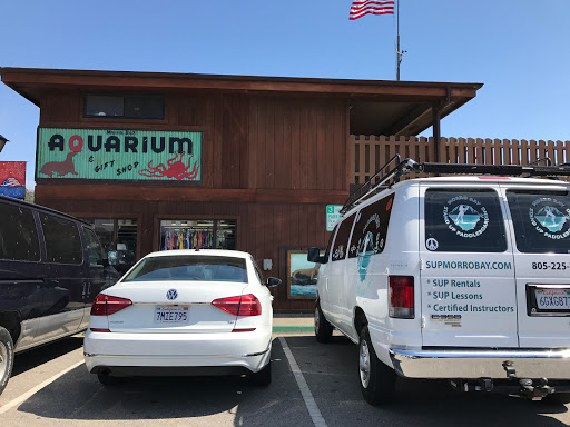 Aquarium «Morro Bay Aquarium and Gift Shop», reviews and photos, 595 ...
