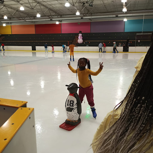 Festival Mall Ice Rink in and, Kempton Park, - Zaubee