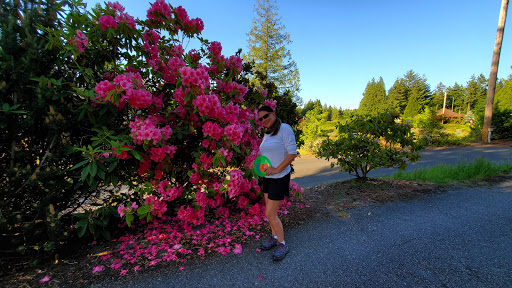 Golf Course «Kayak Point Golf Course», reviews and photos, 15711 Marine ...