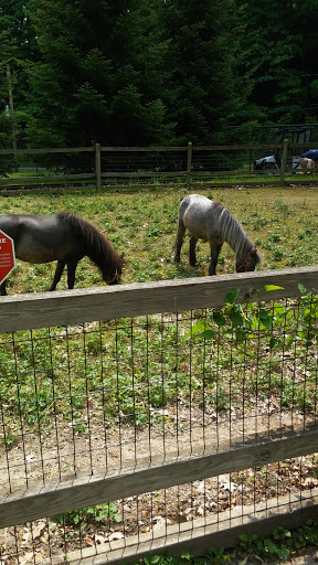 Tourist Attraction «Cleveland Zoo Train Station», reviews and photos ...