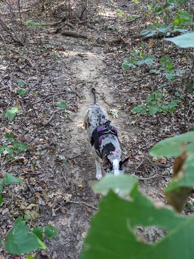 Park «Hurst Community Park», reviews and photos, 601 Precinct Line Rd ...