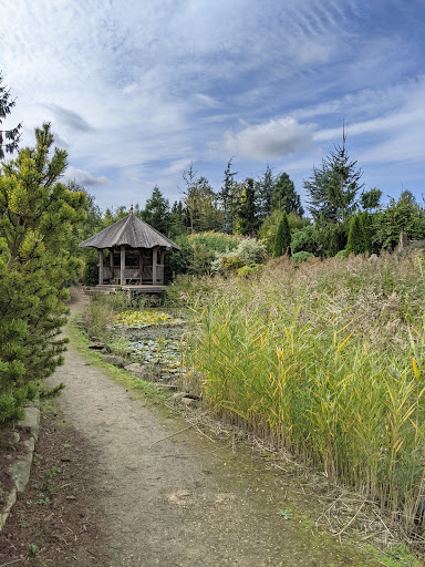 Walkers Nurseries & Garden Centre in Blaxton, Doncaster, - Zaubee