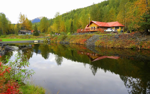 Alaska Forest and Trail - AZexplained