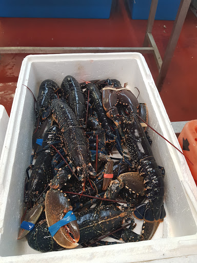 Liverpool Meat & Fish Market - Stanley Meat Market, Prescot Rd ...