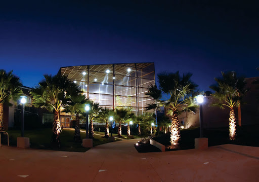 Natural History Museum «Florida Museum of Natural History», reviews and ...