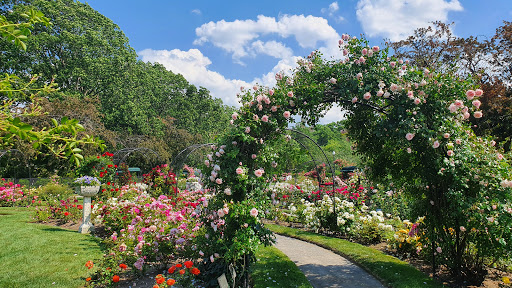 James P. Kelleher Rose Garden