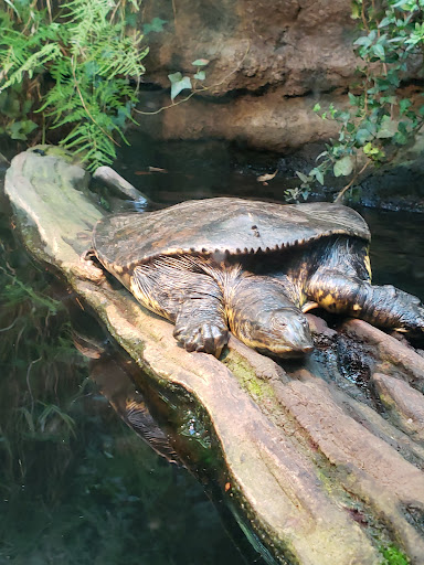 Zoo «Sedgwick County Zoo», reviews and photos, 5555 Zoo Boulevard ...