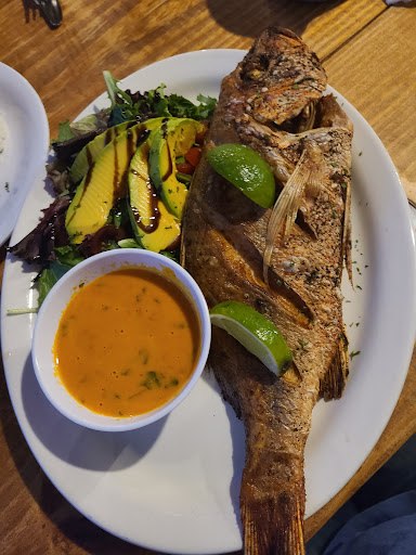 Perico Ripiao - 3260 Vineland Rd suite 101A, Kissimmee, Florida - Zaubee