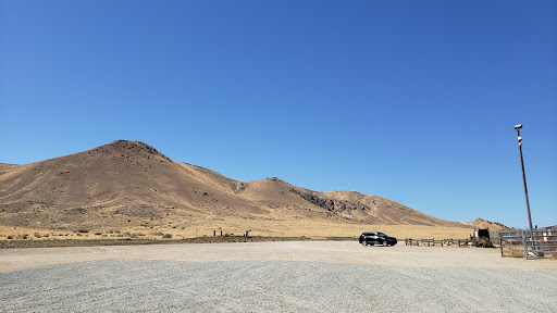National Wild Horse And Burro Center At Palomino Valley in Reno, Nevada ...