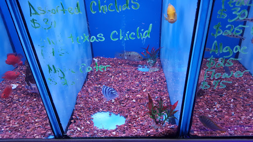 Tropical Fish Store «Nemo Aquarium», reviews and photos, 1560 Indian ...