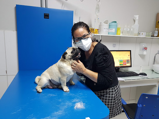 São Paulo Veterinary Hospital, São Paulo - SP | Vet Clínicas BR